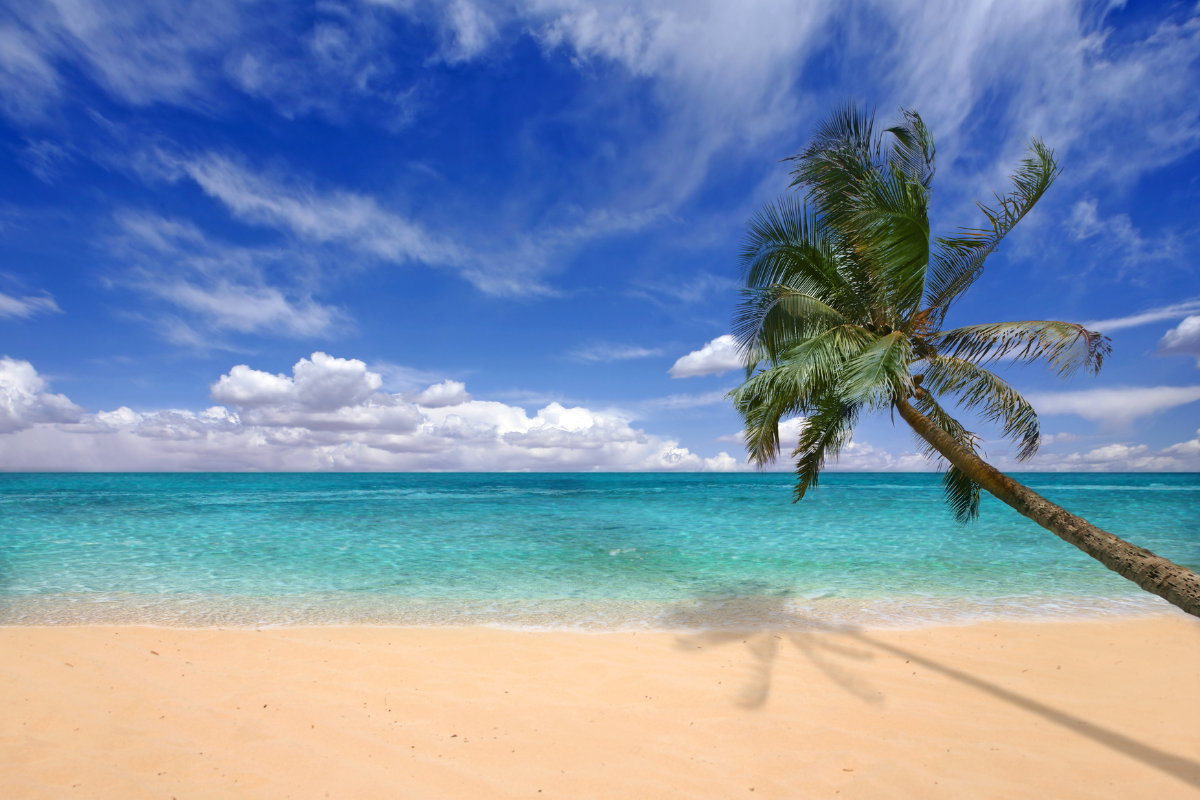 The Power of Hawaiian-Inspired Home Decor: Transform Your Space with A ...